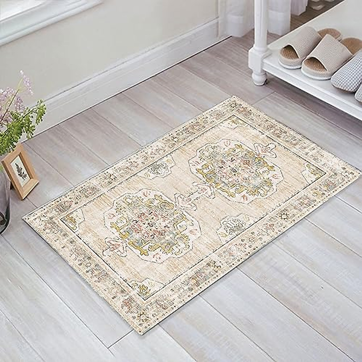 Corismatte Washable Bohemian Doormat, Non-Slip Small Rug for Entrance, Multi/Brown 2’x3’
