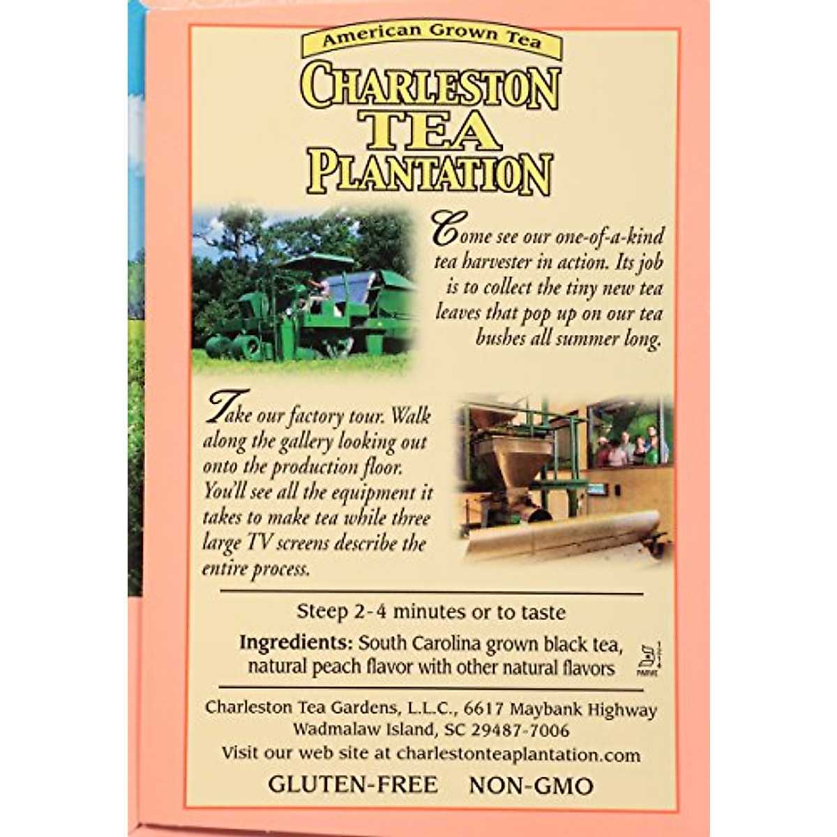 Peachy Peach Pyramid Teabags, 12 Count, 1.05 Ounce (04358)