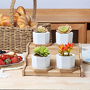 T4U Small White Succulent Planter Pots with Bamboo Tray Hexagon Set of 2, Geometric Cactus Plant Holder Container for Home Office Table Desk Decoration for Mom Aunt Sisiter Gardener