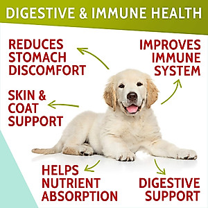 Fish Oil Omega 3 Treats for Dogs + Probiotics for Dogs Bundle - Joint Health + Advanced Allergy Relief Dog Probiotics Chews - Alaskan Salmon Oil + Digestive Enzymes - 120+180 Soft Chews - Made in USA