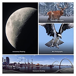 NEEWER Gimbal Tripod Head Professional Heavy Duty Aluminum Alloy with Arca Type Quick Release Plate, GM101 Supports Smoother 360 Degree Panoramic Shooting for DSLR Camera Up to 30lbs/13.6kg