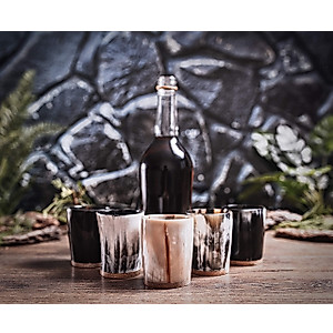 Norse Tradesman Ox-Horn Shot Glass Set (5) - 2 oz Mini-Drinking Horns for Toasting Spirits
