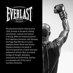 Everlast Speedbag - Boxing Training Swivel Speed Bag (Mounting not Included)