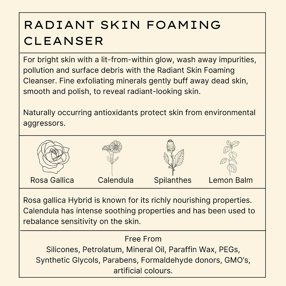 Jurlique Radiant Skin Foaming Facial Cleanser , 2.8 Oz (Pack of 1)