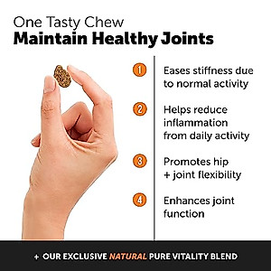 Pet Honesty Senior Dog Joint Supplement | Senior Hemp Mobility - Glucosamine for Dogs, Hemp Oil & Hemp Powder, Dog Joint Pain Relief - Turmeric, MSM, Green-Lipped Mussel, May Reduce Discomfort (180ct)