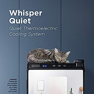 BLACK+DECKER 6 Bottle Wine Fridge, Wine Cooler with Mirrored Front, Mini Wine Fridge Thermoelectric, BD60316