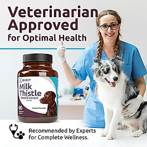 K9 Select Milk Thistle for Dogs, 100mg - 60 Vegetable Capsules - Canine Liver Health Milk Thistle Supplement - Liver Supplement - Liver Support Supplement - Milk Thistle Herbal Supplements
