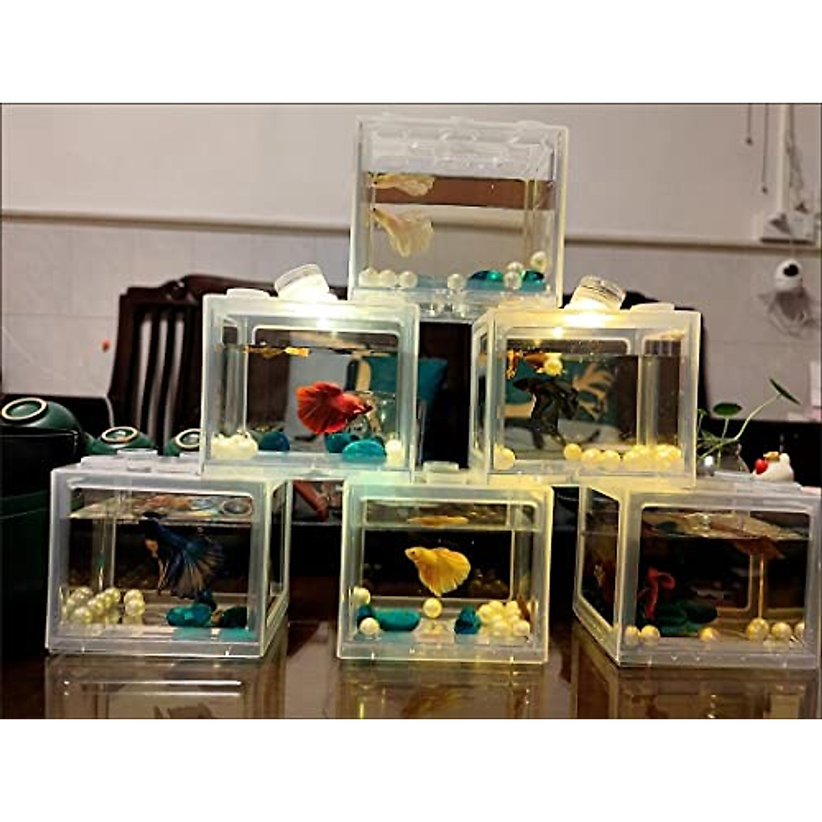 AWXZOM 2pack Small Betta Fish Tank,Small Fish Tank Plastic Fish Bowl Small Goldfish Bowl Small Aquarium beta Fish Tank with Cover (2pack-Small-Clear)