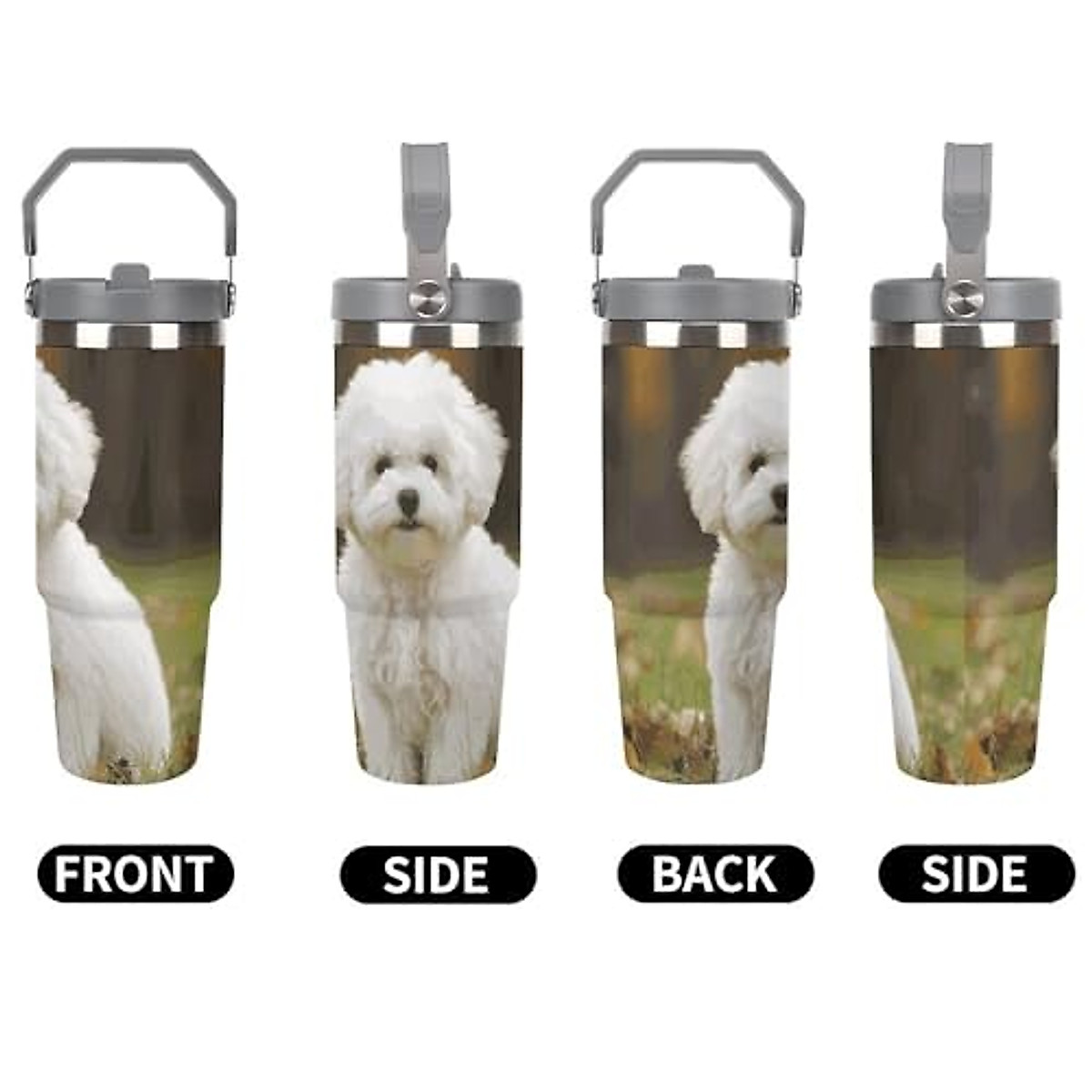 RTFGHJS Bichon Frise Dog 30 Oz Tumbler with Handle And Flip Straw, Stainless Steel Vacuum Insulated Travel Mug, Thermal Cup for Coffee, Water, Iced Drinks, Fits Car Cup Holders (Home, Sports)