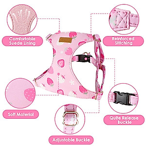 Lukovee Puppy Harness and Leash Set, No Pull Lightweight Soft Suede Adjustable Pet Harness Vest with Snap Buckle for Puppy Small and Medium Size Dog (Pink Strawberry, XXS)