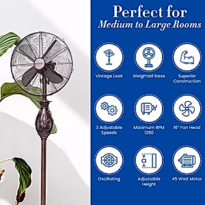 DecoBREEZE DBF0611 Pedestal Standing Floor Fan, 16-Inch, Fleur De Lis