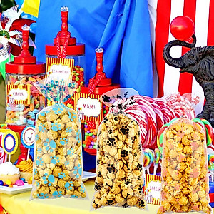 100 Pieces Paw Print Dog Treat Bags, Dog Print Cellophane Treat Bags, Dog Paw Print Gift Bags, Heat Sealable Candy Bags with 100 Silver Twist Ties for Pet Birthday Party Favor Supplies, Black