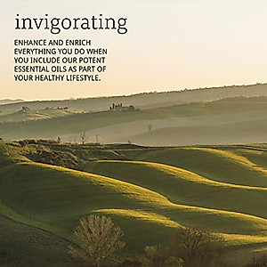 NOW Essential Oils, Organic Oregano Oil, Comforting Aromatherapy Scent, Steam Distilled, 100% Pure, Vegan, Child Resistant Cap, 1-Ounce