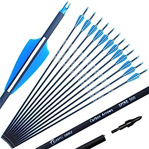 COLORFUL EAGLE Archery Carbon Arrow Hunting Target Practice Arrows 28 30 31 Inch with Removable Tips for Compound & Recurve Bow Spine 500 (6/12PCS) (6 pcs 28 inch)