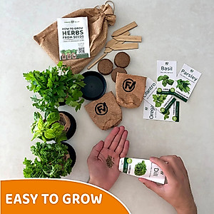 Indoor Herb Starter Grow Kit - 5 Different Medicinal & Tea Herb Seeds - Parsley, Basil, Cilantro (Coriander), Dill, Oregano - Non GMO and Heirloom - Including Pots and Soil - Made in USA