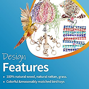 KIEYYRYT Bird Toys with Cage Shredded Paper Toys, Colorful Parrot Foraging Toys with Hanging Chewing Toys for Small Medium Parrot, Parakeet, Finch, Budgerigar, Conure, Cockatiel and Lovebirds