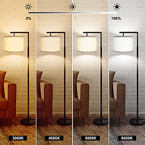 Deeak Floor lamp,Stepless Brightness &4 Color Temperature Modern Standing Shade Led Floor Lamp with Remote & Rotary Control for Living Room,Office and Bedroom(9W LED Bulb Inclued),Black