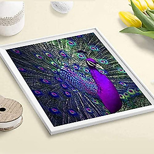 12 Pack Diamond Painting Kits for Adults,Diamond Art Birds Animals HD Canvas DIY 5D Full Drill Round Crystal Rhinestone Gem Arts Dots Diamonds Craft Paint for New Home Wall Decor - 12x12inch X12PCS