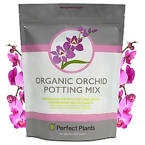 All Natural Orchid Potting Mix 4qts. by Perfect Plants | Hand Mixed in Small Batches | Great for Phalaenopsis of All Kinds