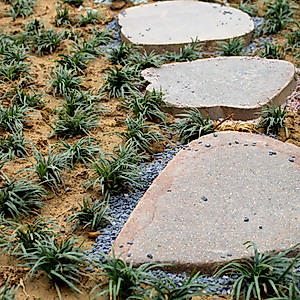 Anothera Stones for Plants 18 LB Smooth Natural Black River Rocks, Plant Aquarium Gravel Stones for Succulents Bonsai Terrarium Vase Fillers Fish Tank Indoor Outdoor Garden Decor（6-9 mm）