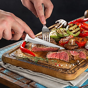 Kitchen Knife Block Set, E-far 17-Piece High Carbon Forged Stainless Steel Knife Sets Includes Chef Utility Paring Steak Serrated Bread Santoku Knife Sharpener - Full Tang Design