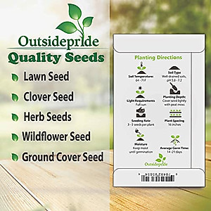 Outsidepride Hypericum Cerastoides Trailing St. John’s Wort Garden Flower & Ground Cover - 200 Seeds