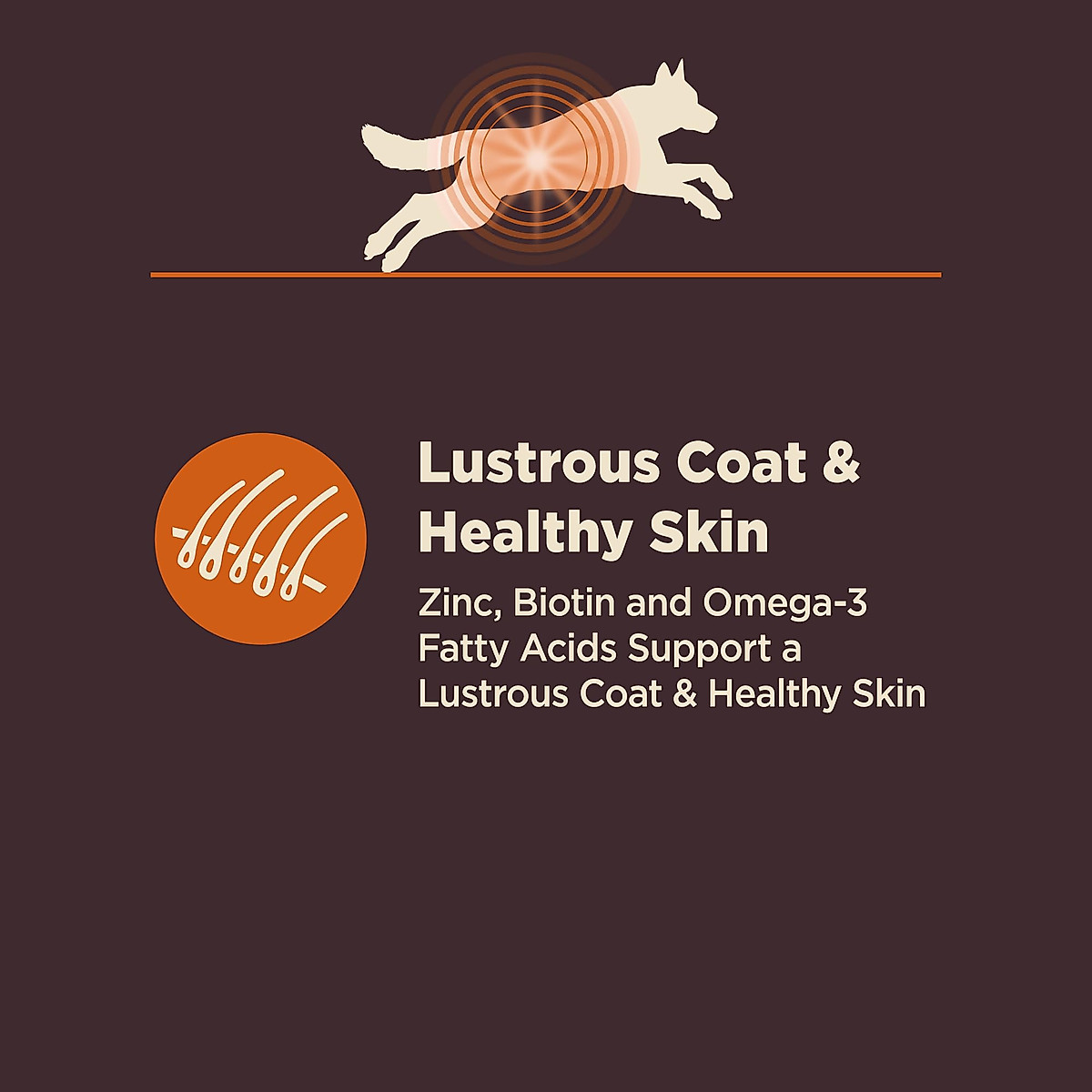 Wellness CORE Digestive Health Dry Dog Food with Wholesome Grains, Highly Digestible, for Dogs with Sensitive Stomachs, Made in USA with Real Chicken (Adult, 4-Pound Bag)