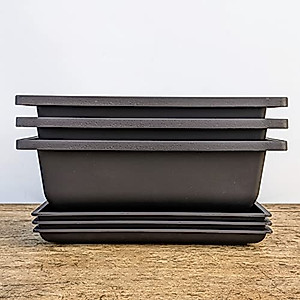 Bonsai Outlet Training Pots with Humidity Trays - Built in Mesh, Brown 8-Inch Large Planters + Made from Durable Shatter Proof Poly-Resin, Set of 3 Pot Set