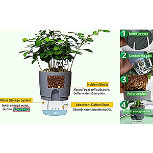 ETGLCOZY 6/4.1/3.2 Inch Self Watering Planter Pots, 5 Pack African Violet Pots for Indoor Outdoor Windowsill Gardens, Self Aerating, High Drainage, Deep Reservoir(Gray)
