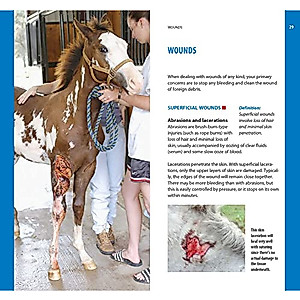 Dr. Kellon's Guide to First Aid for Horses: A Quick and Easy Reference to Conditions That Require Emergency Treatment
