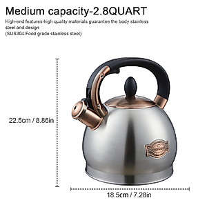 Tea Kettle -2.8 Quart Tea Kettles Stovetop Whistling Teapot Stainless Steel Tea Pots for Stove Top Whistle Tea Pot