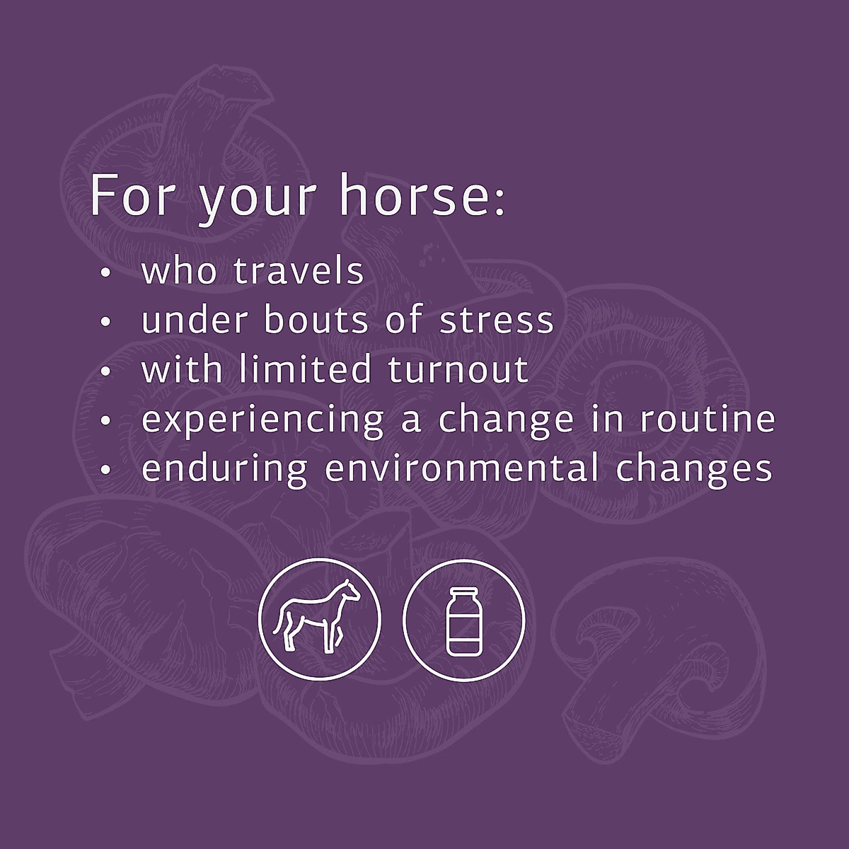 Standard Process Equine Immune Support - Whole Food Horse Supplies for Immune Support with Whey Protein, Magnesium Citrate, Kale, Sunflower Lecithin, L-Glutamine, Turmeric Root - 30 Ounce