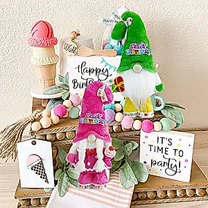 Mailin 2Pcs Birthday Gnomes Plush Handmade Swedish Tomte Scandinavian Ornaments Dwarf Birthday Gnome Gifts for Women Girls Tiered Tray Décor