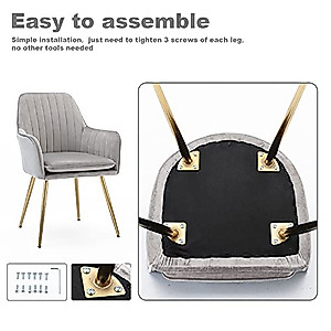 Five stars Furniture Velvet Dining Chair，Accent Chair, Modern Leisure Armchair Living Room Chair，Home Desk Chair，Golden Metal Legs (Light Gray) Set of 2