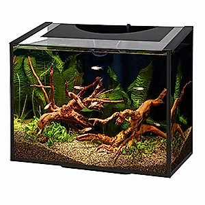 Aqueon Ascent LED Kit 6g, Black