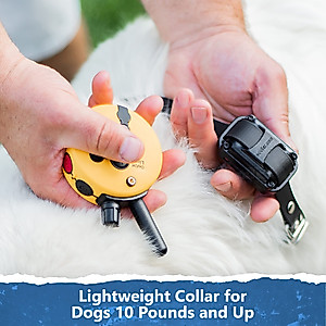 Mini Educator ET-302-1/2 Mile Rechargeable Dog Trainer Ecollar with Remote for Small, Medium, and Large Dogs by E-Collar Technologies - Electric, Vibration, Tone, and Stimulation Collar