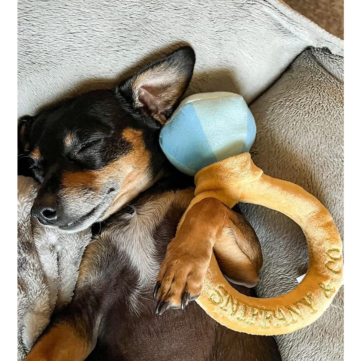 Fuzzyard Valentine's Day Dog Toy, Squeaky and Crinkle for Small, Medium and Large Breed Dogs (Diamond Ring)