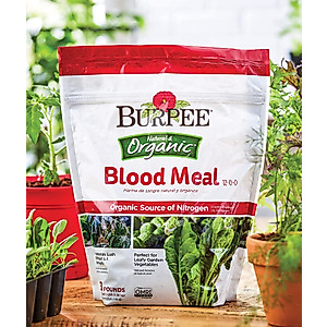 Burpee Organic Blood Meal Fertilizer | Add to Potting Soil | Excellent Natural Source of Nitrogen | for Tomatoes, Spinach, Broccoli, Leafy Greens | 3 lb, 1-Pack