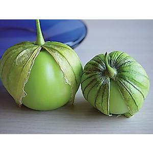 Burpee Gigante Tomatillo Seeds 160 seeds