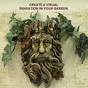 Bits and Pieces - 'Old Man' Tree Hanging Planter - Yard Decorations - Whimsical Tree Sculpture - Indoor/Outdoor Decoration - Garden Peeker Yard Art