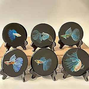 Hand-Painted Betta Fish on Resin Disc - Unique & Trending Ornaments - Office & Aquarium Accesory - Collectibles & Décor (Blind Box, Random)