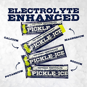 Van Holten's Pickles - Pickle-Ice Freeze Pops - 24 Pack