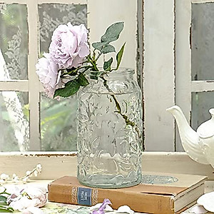 Piscepio Canister Glass Jars with Cork Lids Set of 3 in 38oz, 41oz & 56oz, Embossed wooden Stopper Glass Containers, Retro Design Decorative Kitchen Counter, Pantry Jars for Candy Cookie Food Storage