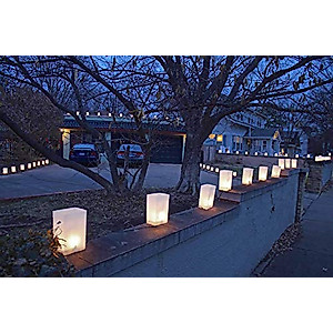 Set of 6 White Luminaries, Warm White LED Tea Lights with Timers & Stakes