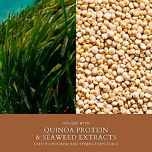 smartSOLUTIONS Curl Nourishing Conditioner, 8 oz | Defines Curls | Increases Shine | Revives Curls | Paraben-Free