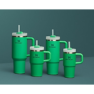 Stanley Quencher H2.0 Tumbler with Handle and Straw 30 oz | Flowstate 3-Position Lid | Cup Holder Compatible for Travel | Insulated Stainless Steel Cup | BPA-Free | Meadow