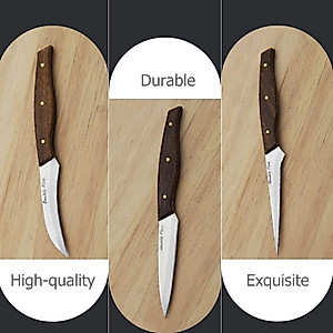 Hemoton Vegetable Fruit Carving Knife DIY: Professional Chef Knife Food Fruit Paring Knife Kitchen Tool Utensils 1 Set