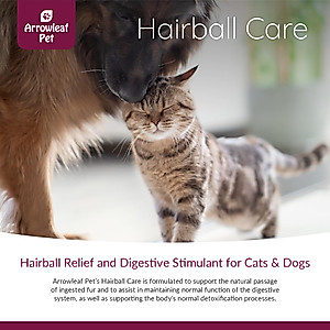 Arrowleaf Pet Hairball Care by NaturPet Inc | Digestive Support for Cats and Dogs | Hairballs, Constipation, Intestinal Discomfort | 100mL Herbal Tincture