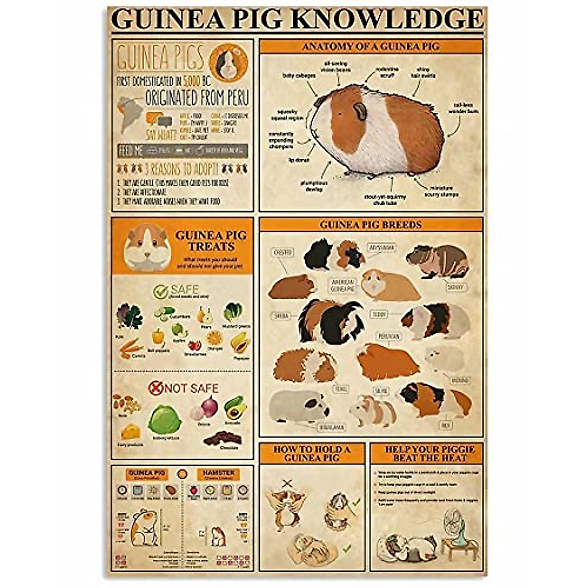 QSHPO Guinea Pig Knowledge Metal Signs Retro Plaque Science Guide Posters Farm Club Home Wall Decor Aesthetic Room Decor 8x12 Inches