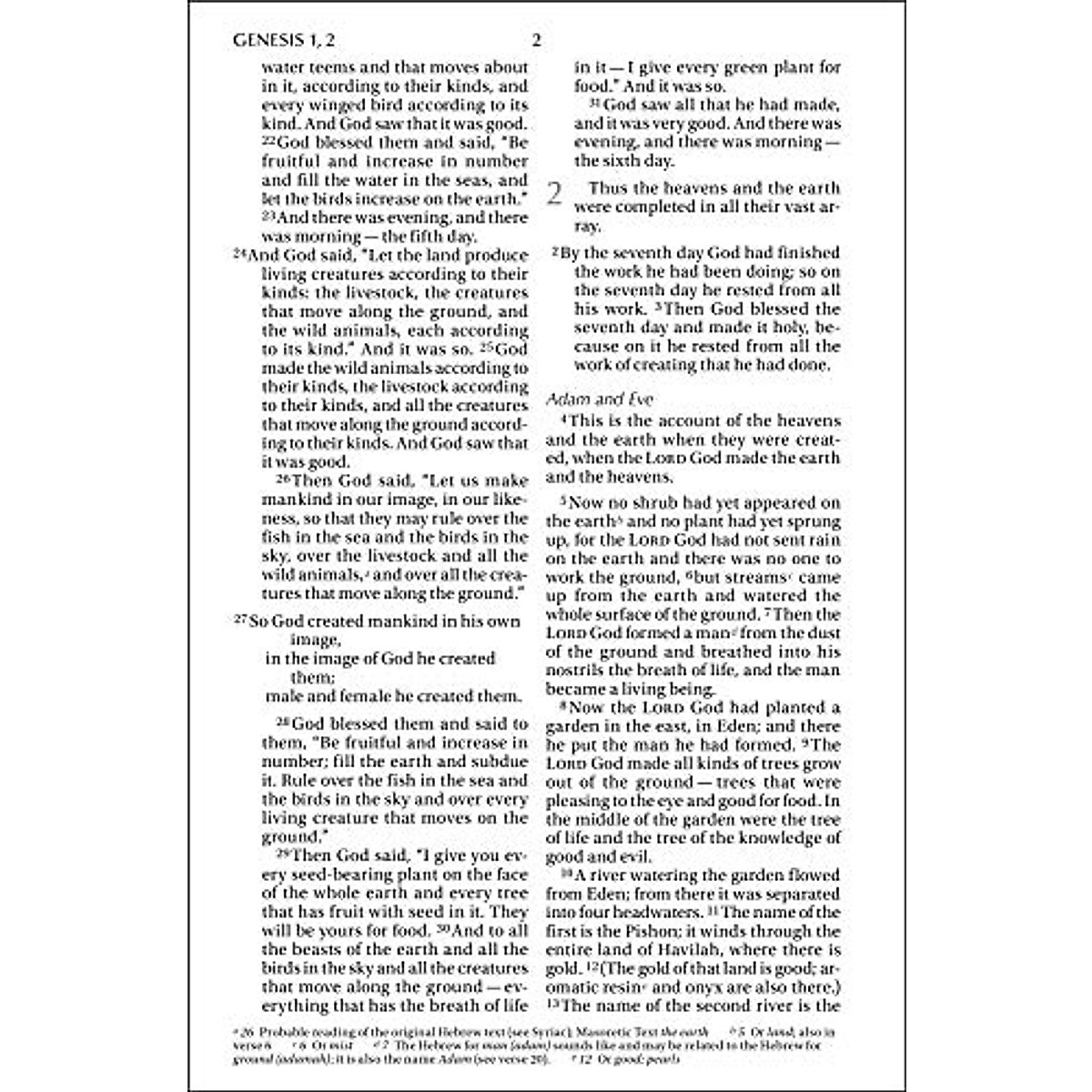 NIV, Holy Bible, Larger Print, Paperback